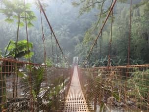 Cebu Jungle Trekking and Survival Training Tours